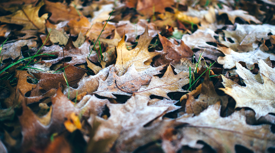 5 cambios más comunes en el tiempo durante el otoño – meteoiberia
